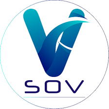 SOV | La gestión para la solución de ventas y cartera